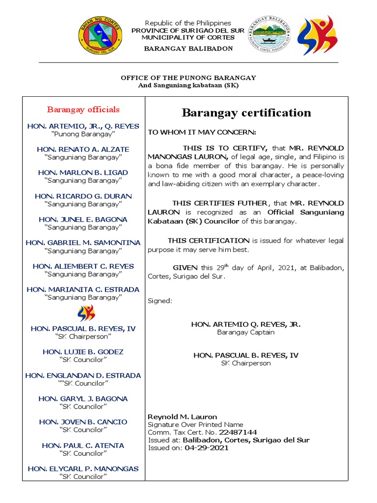 Certification For SK Councilor | PDF | Philippines | Local Government
