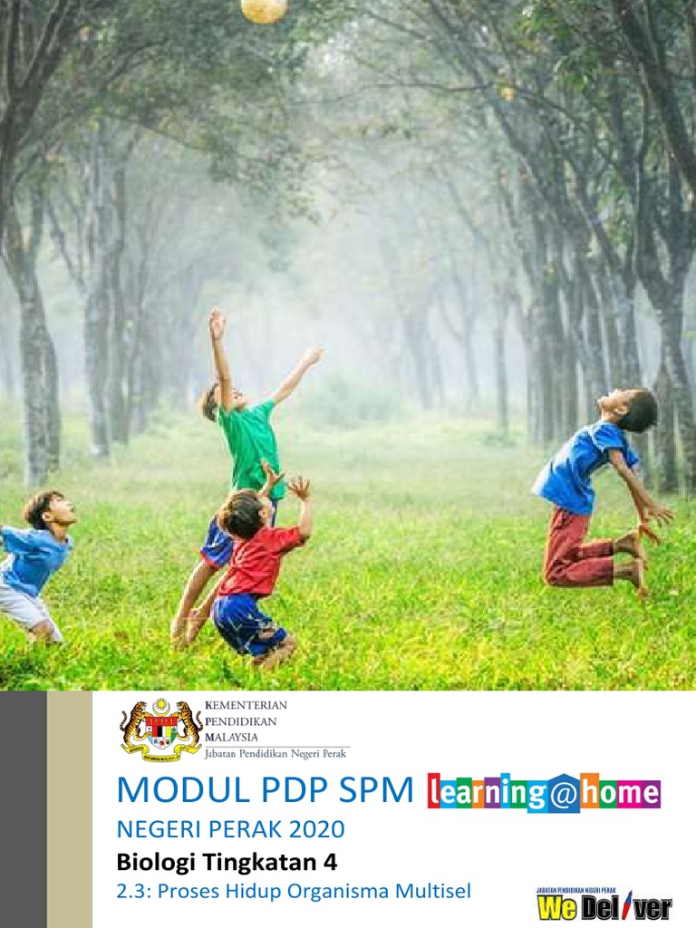 Biot4 2.3 Proses Hidup Organisma Multisel (BM) | PDF