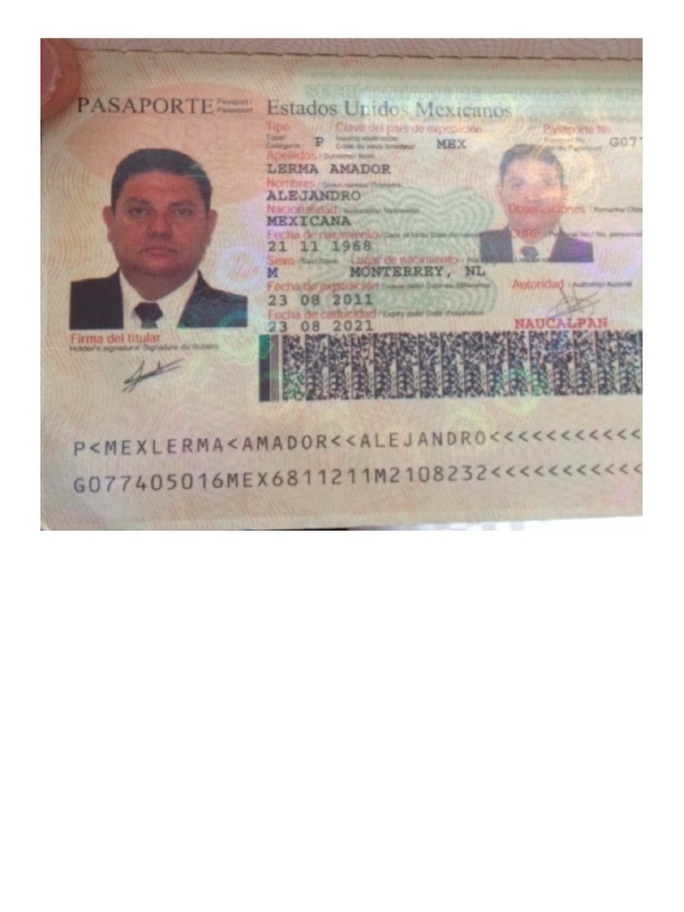 Alejandro Lerma Amador - Pasaporte | PDF