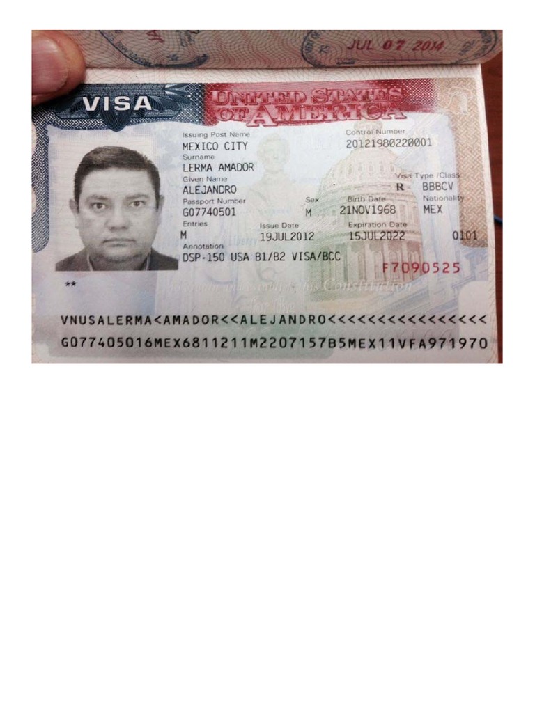 Alejandro Lerma Amador - Visa | PDF