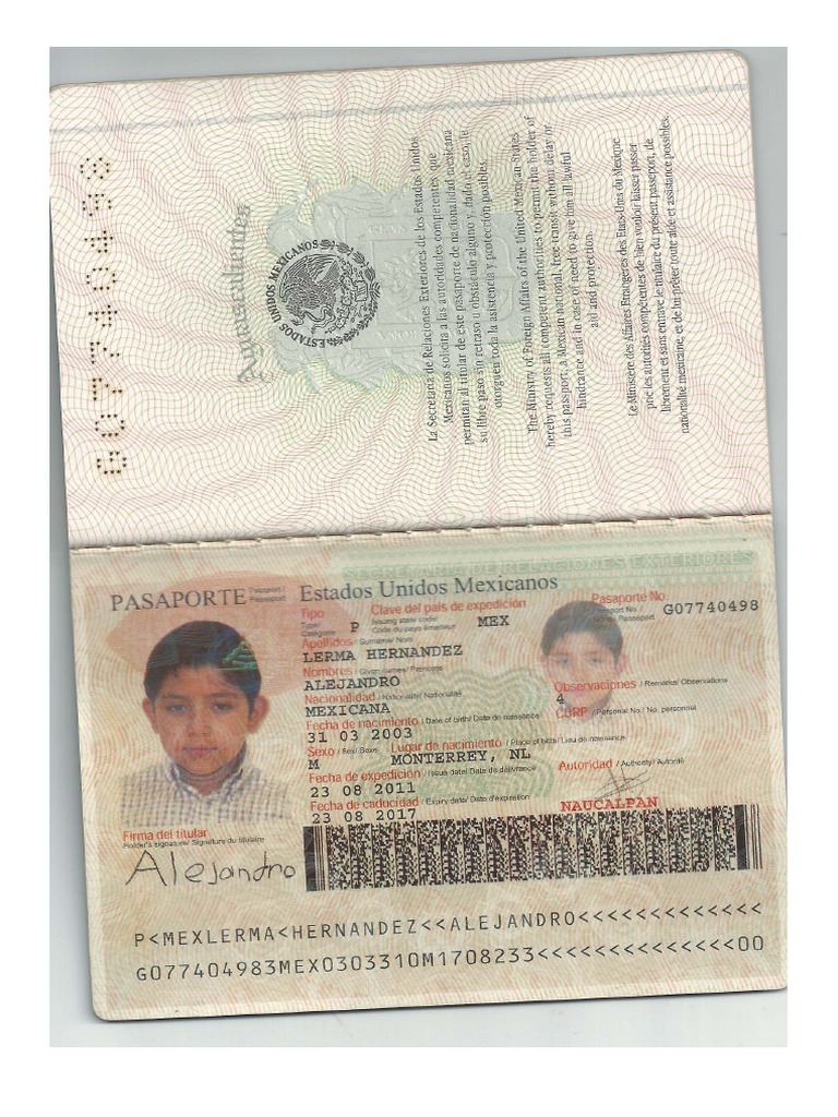 Alejandro Lerma Hernandez | PDF