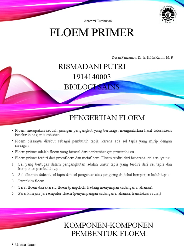 Floem Primer | PDF