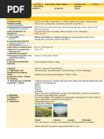 SCIENCE 3 Q4 TAGALOG - Mga Natural Na Bagay Na Makikita Sa Kalangitan | PDF