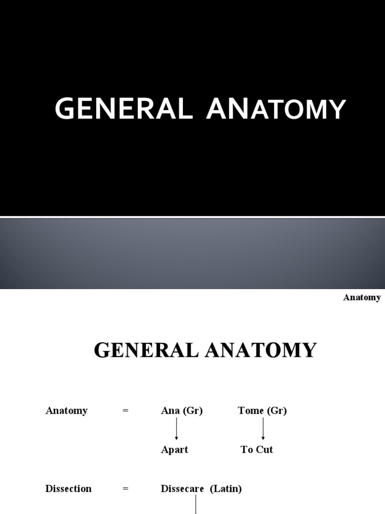 Introduction - of - Anatomy 1 | PDF | Anatomical Terms Of Motion ...