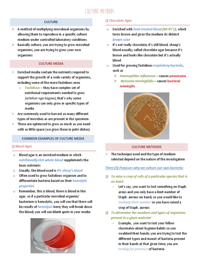 Culture Staining Methods Microbiology Lab | PDF | Growth Medium | Staining