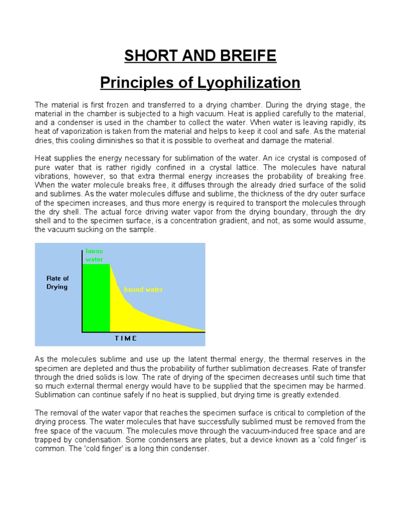 Principles of Lyophilization | PDF | Freeze Drying | Vacuum