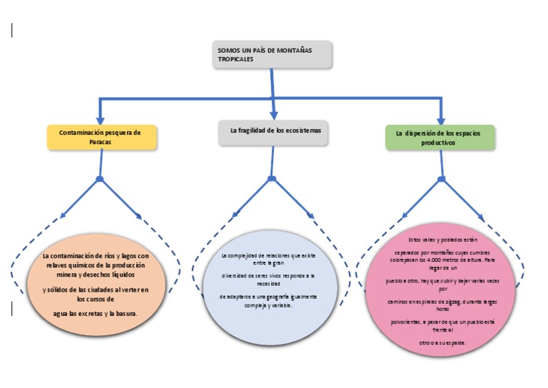 Mapa Conceptual 4. | PDF