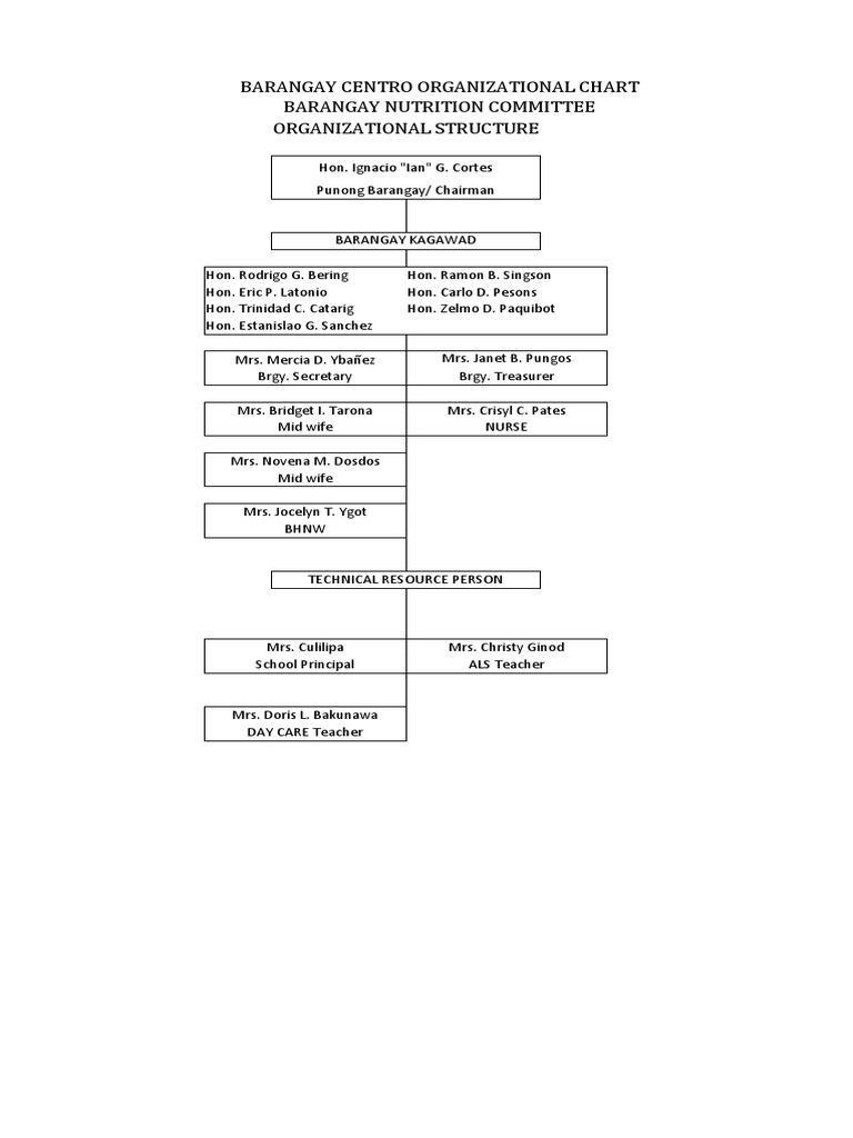 Organizational Structure Bnap | PDF | Breastfeeding | Food And Drink