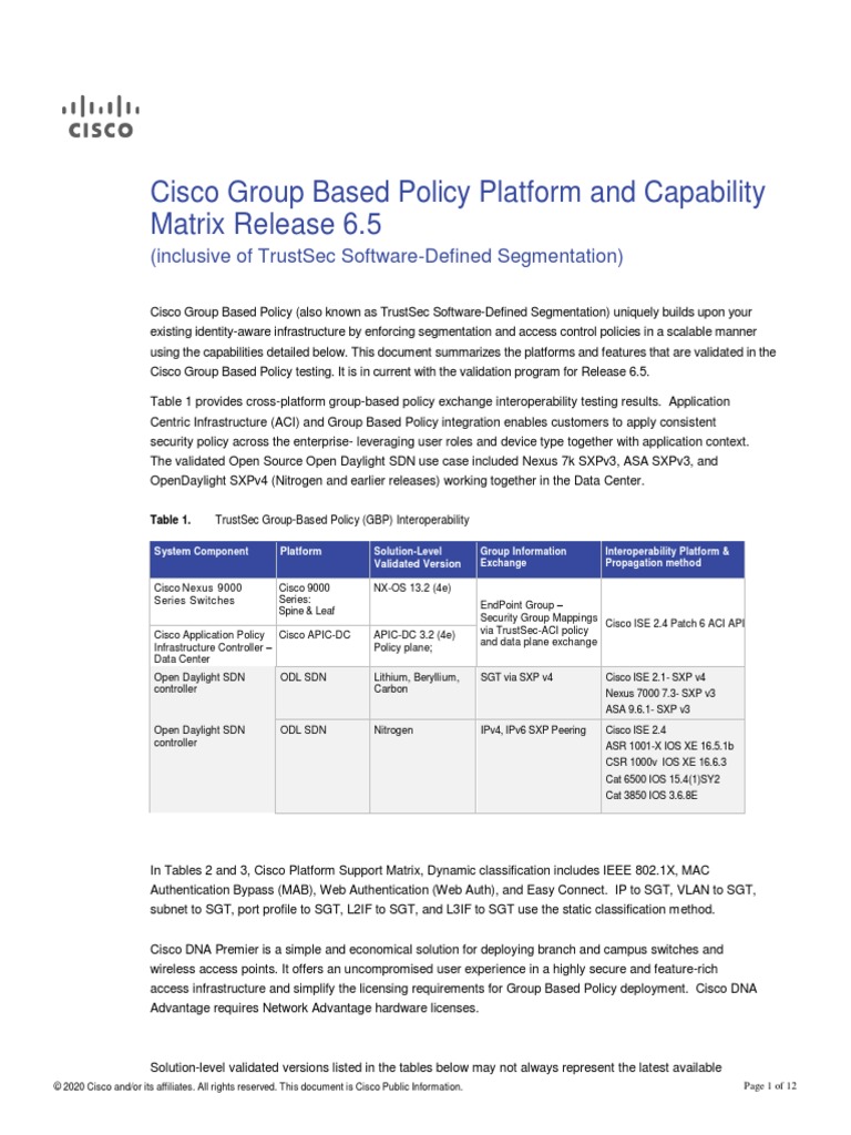 Software Platform Capability Matrix | PDF