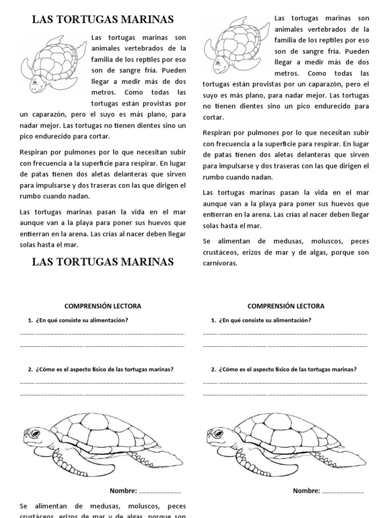 Hojas De Trabajo Sobre Tortugas Marinas En Marzo Nos Lanzamos A Leer,