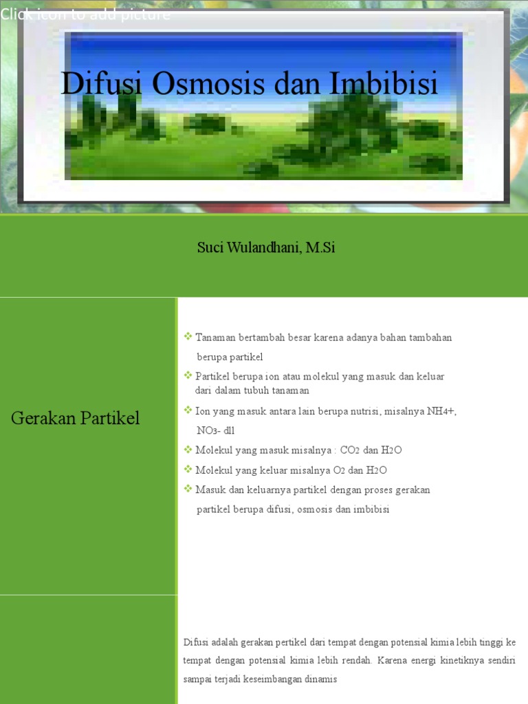 Difusi, Osmosis, Imbibisi | PDF