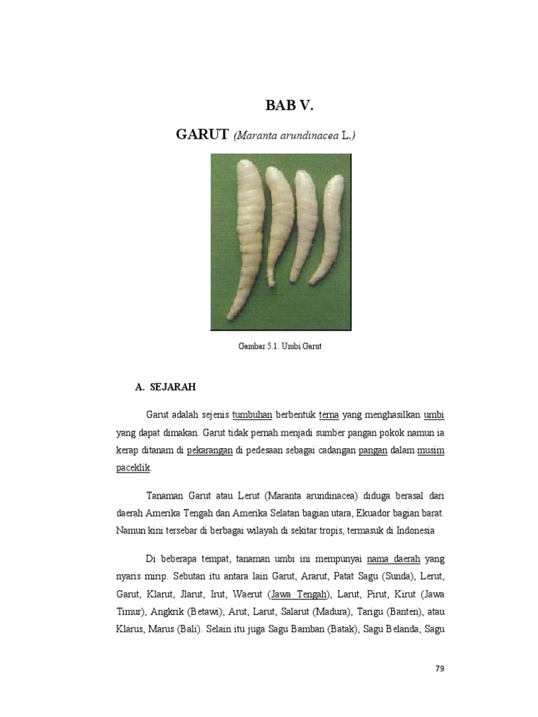 Budidaya dan Spesifikasi Tanaman Garut | PDF | Griya & Taman | Sains ...