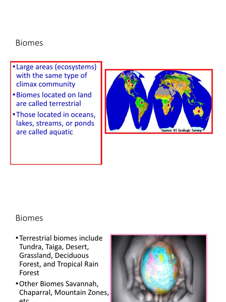Biomes | PDF