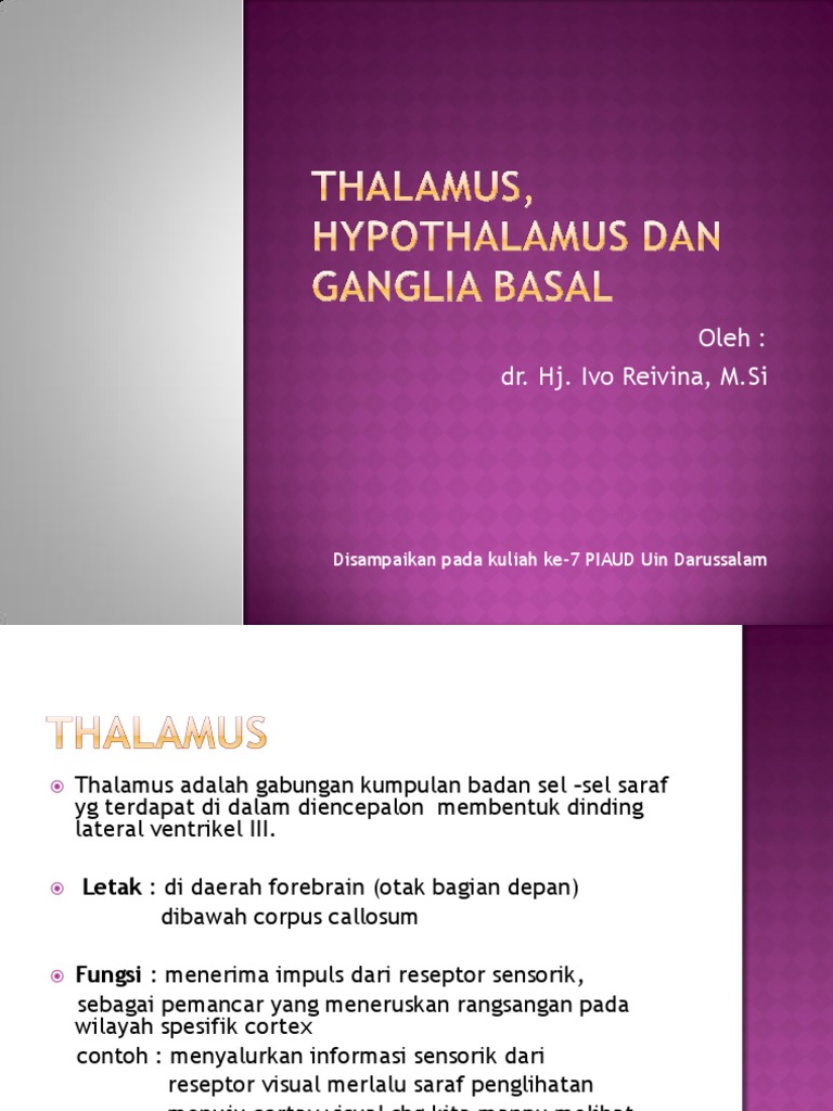 Thalamus, Hypothalamus Dan Ganglia Basal | PDF