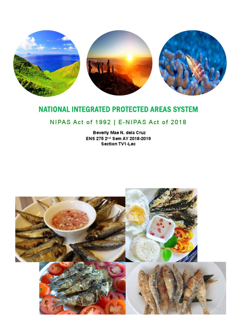 NIPAS and E-NIPAS - Review On The Republic Acts On Protected Areas in The Philippines | PDF ...