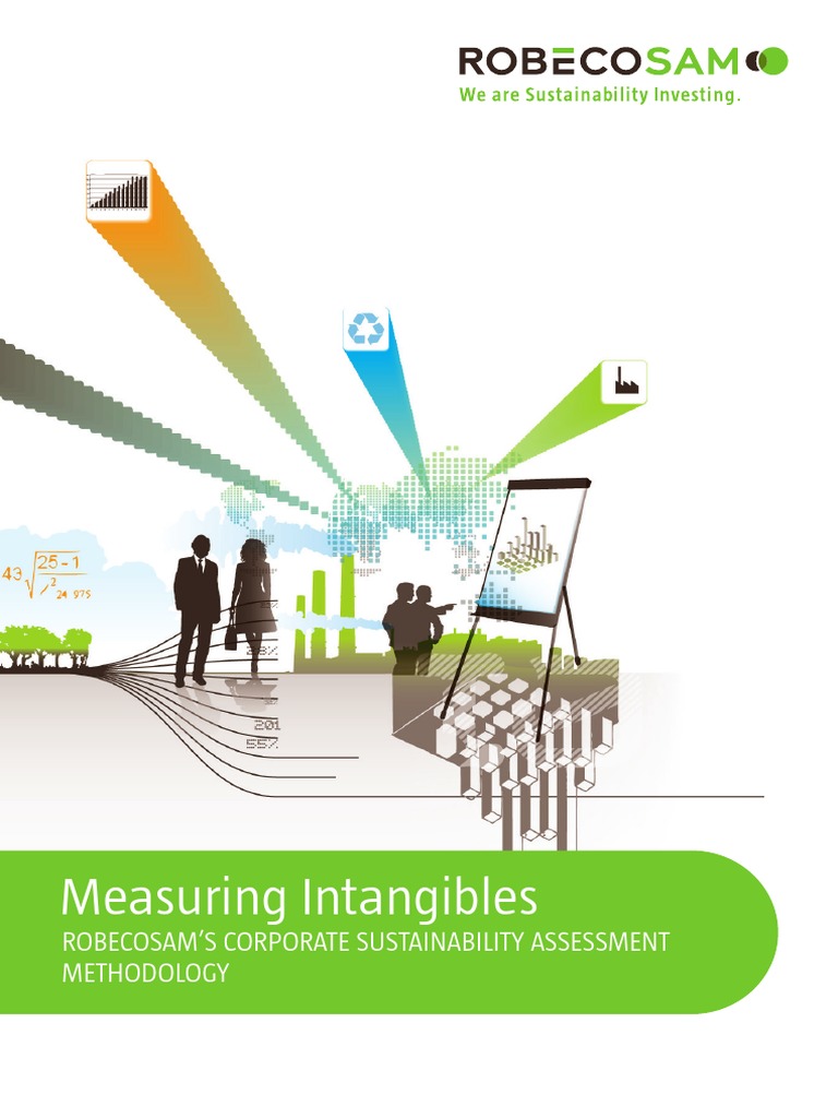 Robeco SAM Measuring Intangibles | PDF | Sustainability | Economies