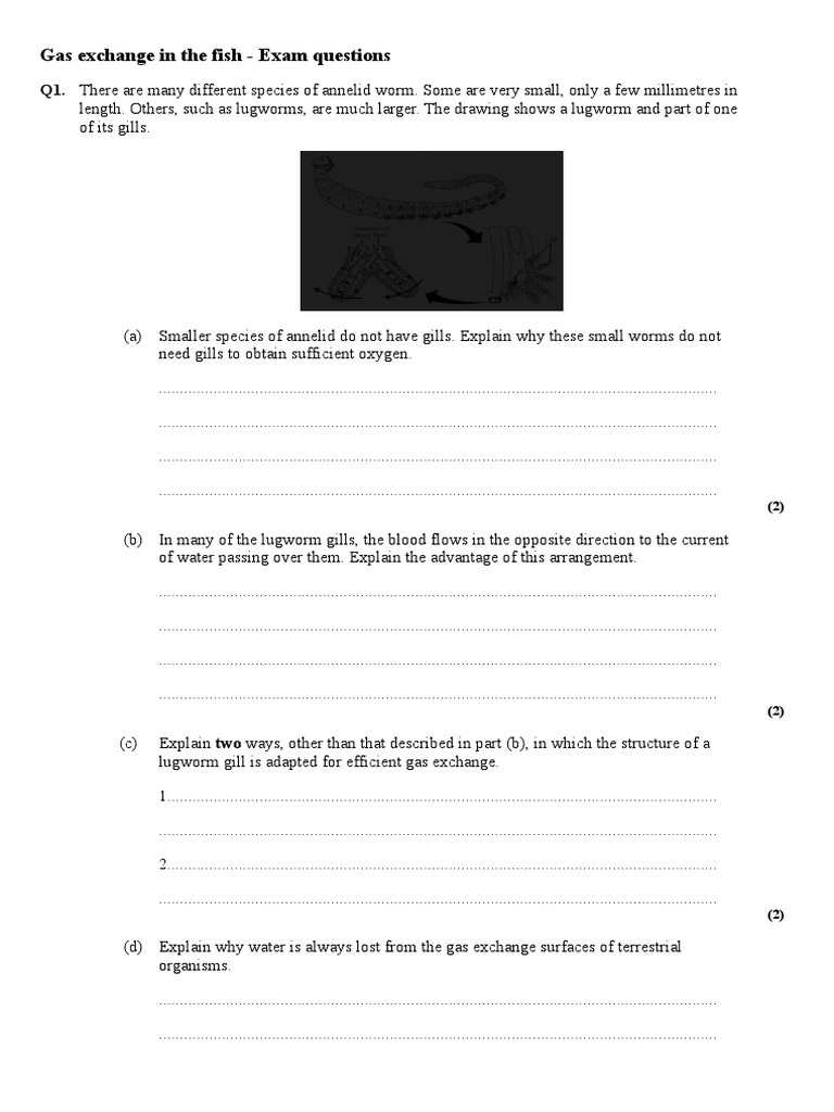Fish Gill Exam Questions | PDF | Gill | Diffusion