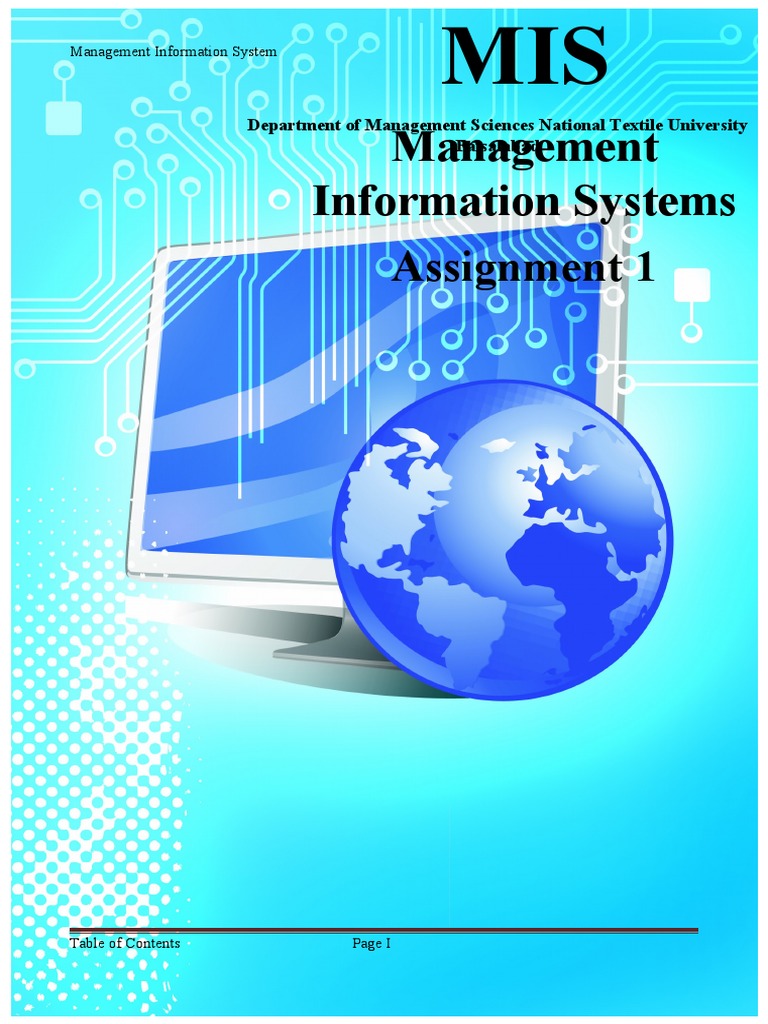 Management Information Systems: Assignment 1 | PDF | Feasibility Study | Computer Program