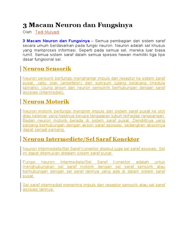 Tiga Jenis Neuron dan Fungsinya | PDF | Pengembangan Diri | Kesehatan ...