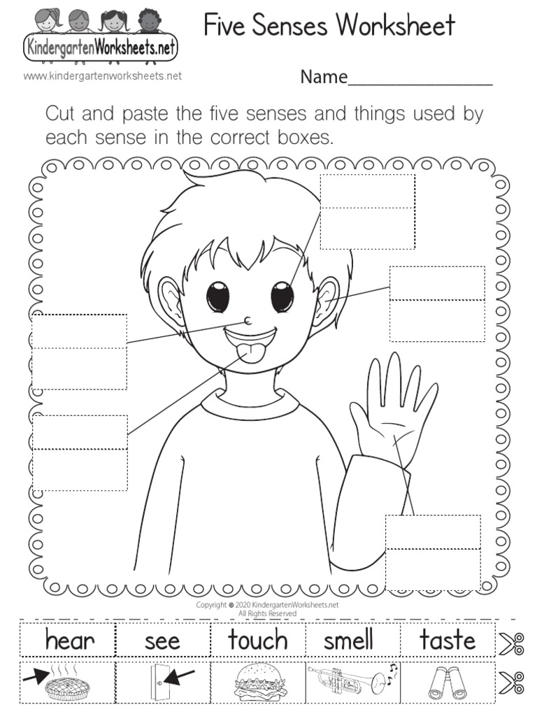 Five Senses Worksheet | PDF