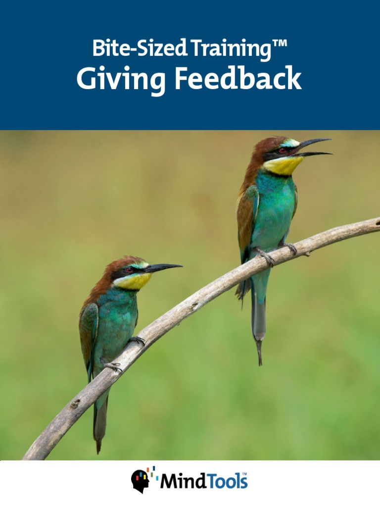 Giving Feedback: Bite-Sized Scenario Training™ | PDF | Motivation ...