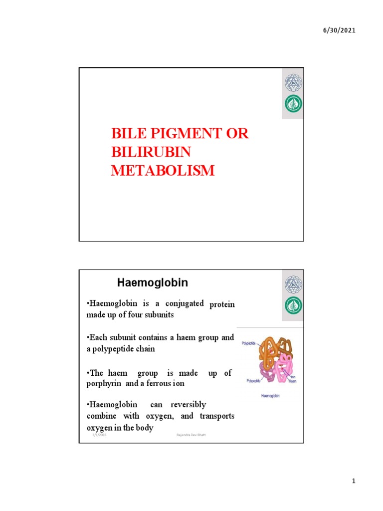 Bile Pigment Metabilism | PDF | Hemoglobin | Biochemistry