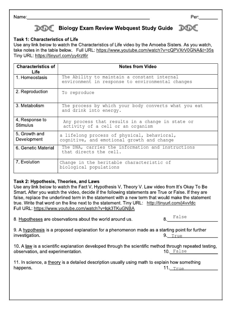 EOC Review Packet Student | PDF | Macromolecules | Cell (Biology)
