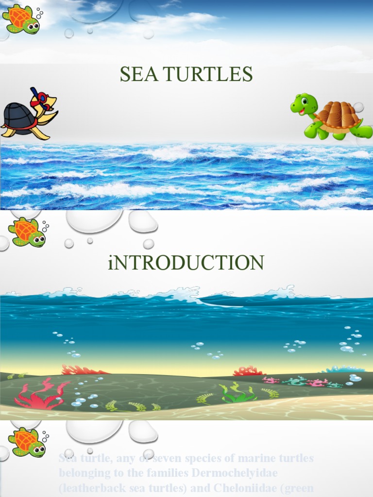 Powerpoint About Sea Turtles | Download Free PDF | Turtle | Sea Turtle