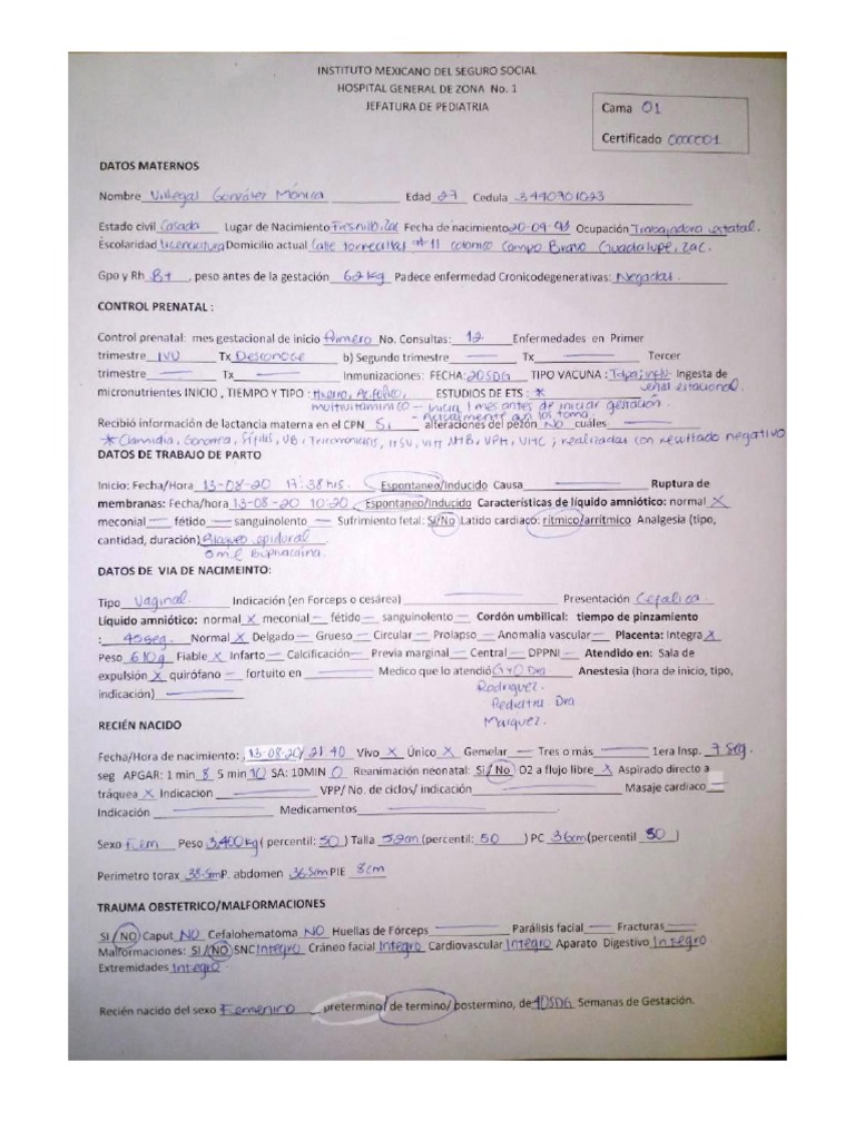 HC - Perinatal | PDF