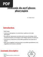 18 - Physiologie Du Nerf Récurrent | PDF | Nerf vague | Larynx