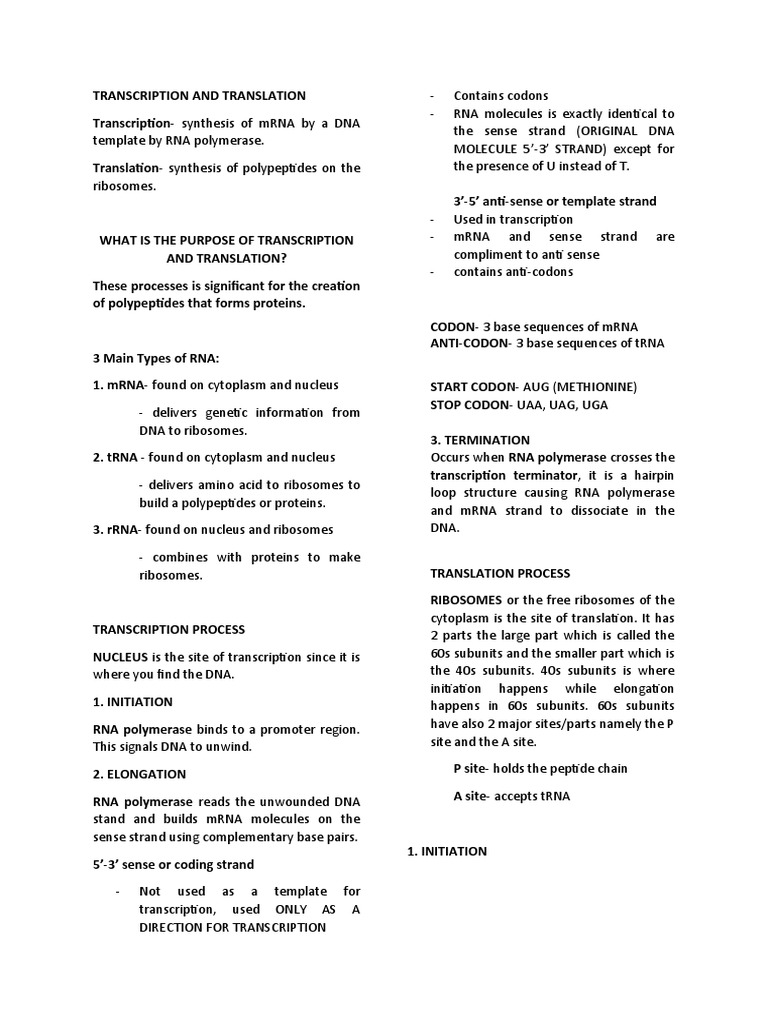 Transcription and Translation Narrative | PDF | Translation (Biology ...