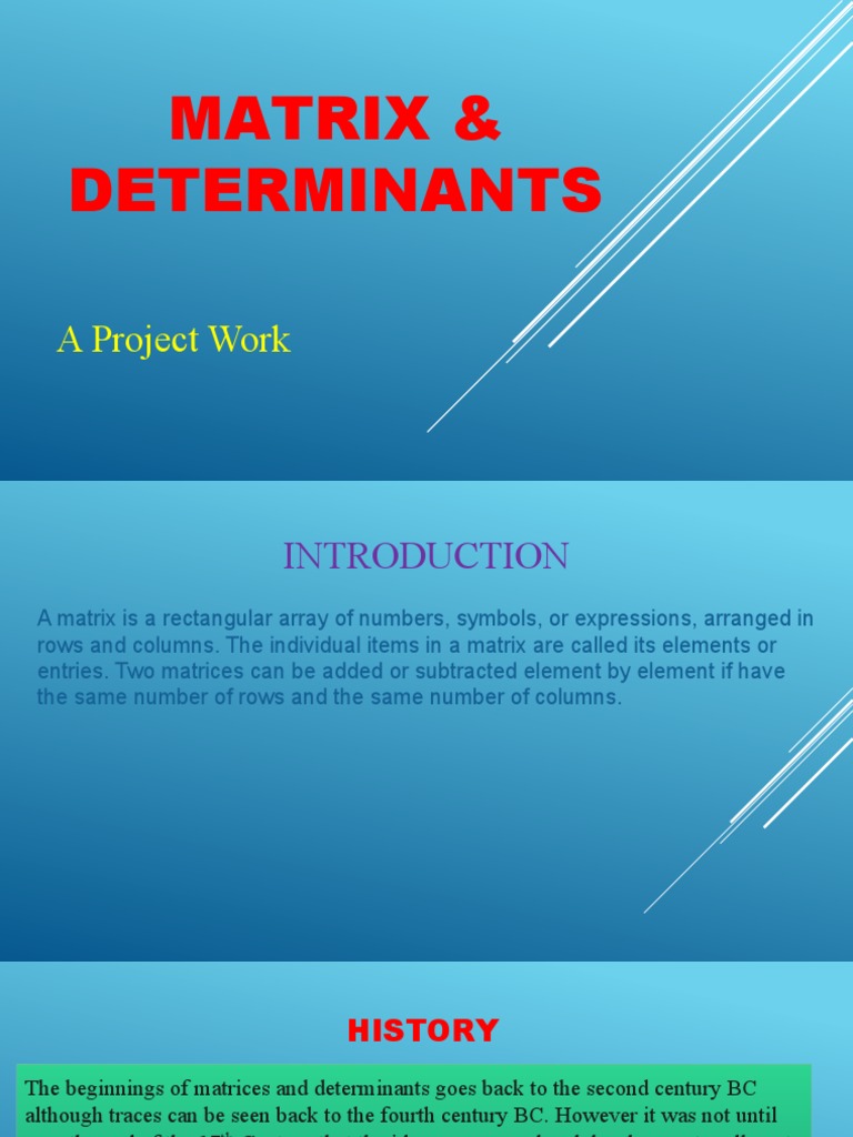 Matrix & Determinants: A Project Work | PDF