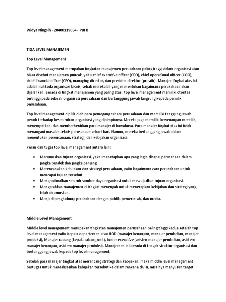 Level Manajemen | PDF