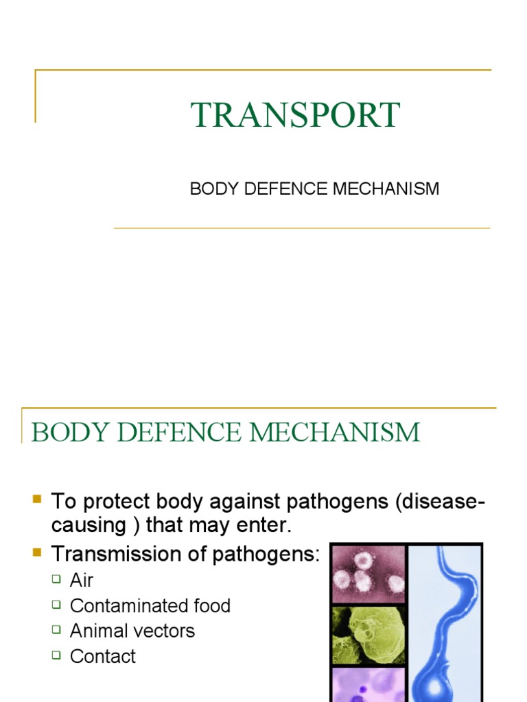 Body's Defense Against Pathogens | PDF | Immune System | Mucus