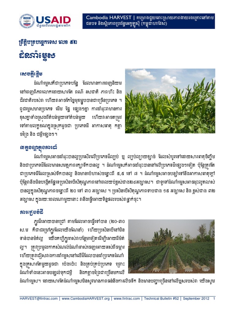Technical Bulletin 52 Chilli Pepper Khmer | PDF