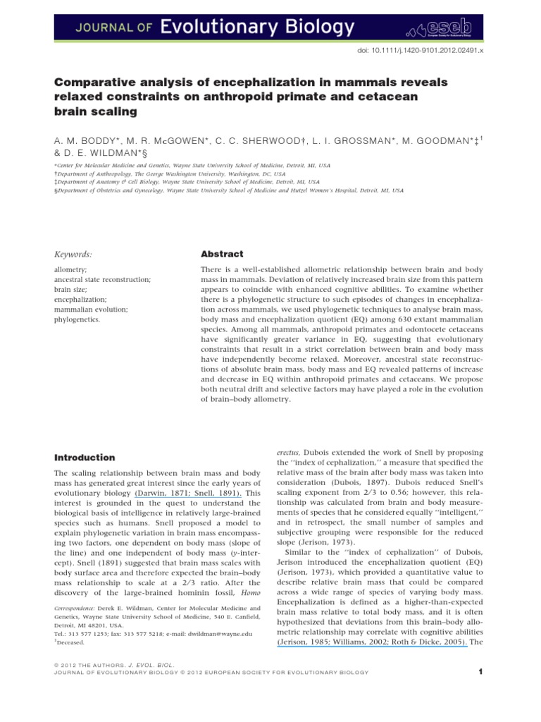Comparative Analysis of Encephalization | PDF | Ordinary Least Squares ...