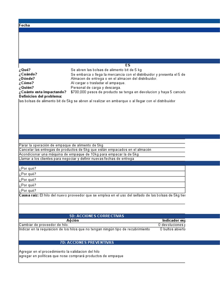 8D Ejemplo | PDF | Industrias | Gestión de Procesos de Negocio