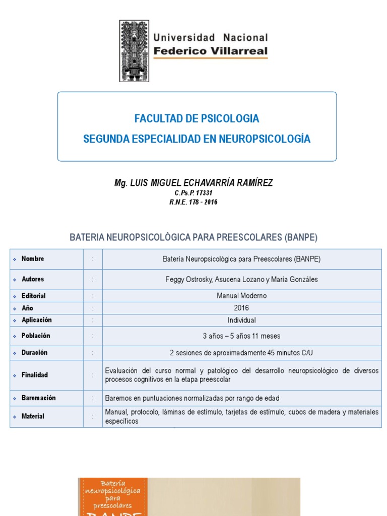 BANPE | PDF | Corteza cerebral | Cerebro