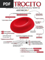Ficha Técnica Quantrel | PDF | Medicamentos con receta | El embarazo