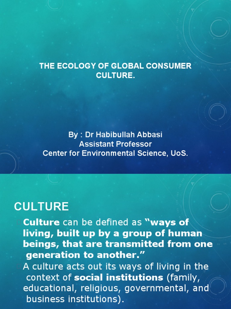 7474 The Ecology of Global Consumer Culture | PDF | Attitude ...