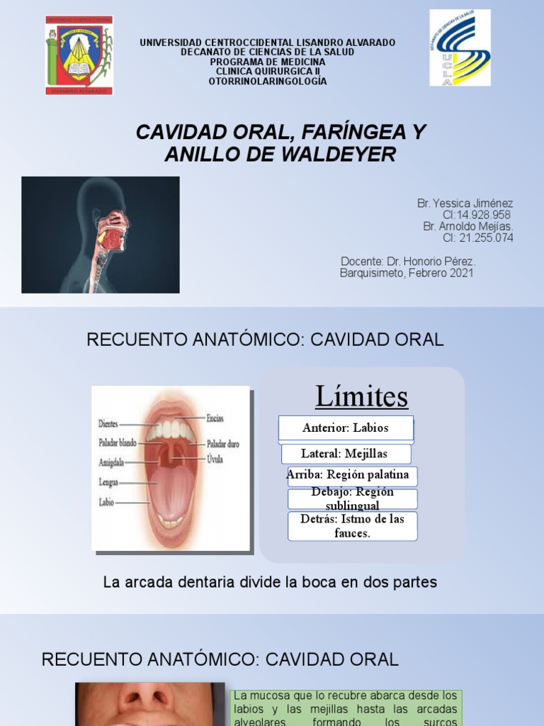 Seminario Orl | Descargar gratis PDF | Inmunología | Medicina