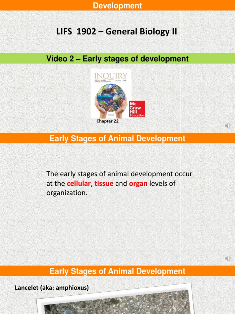 LIFS 1902 - General Biology II: Video 2 - Early Stages of Development | PDF | Embryo ...