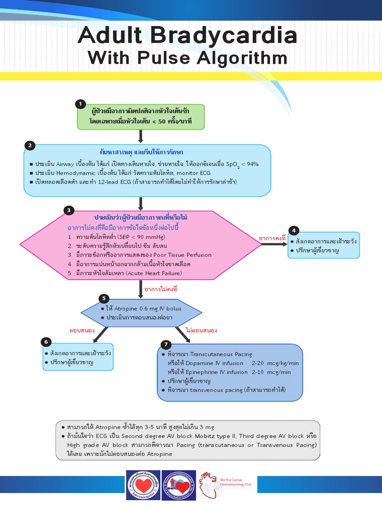 05 Adult Bradycardia | PDF
