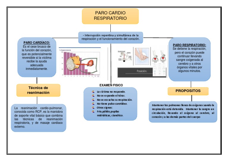 Guía Básica de RCP y Paro Cardíaco | PDF