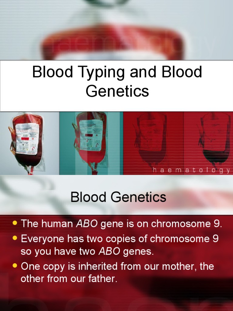 Blood Typing and Blood Genetics | PDF | Blood Type | Allele