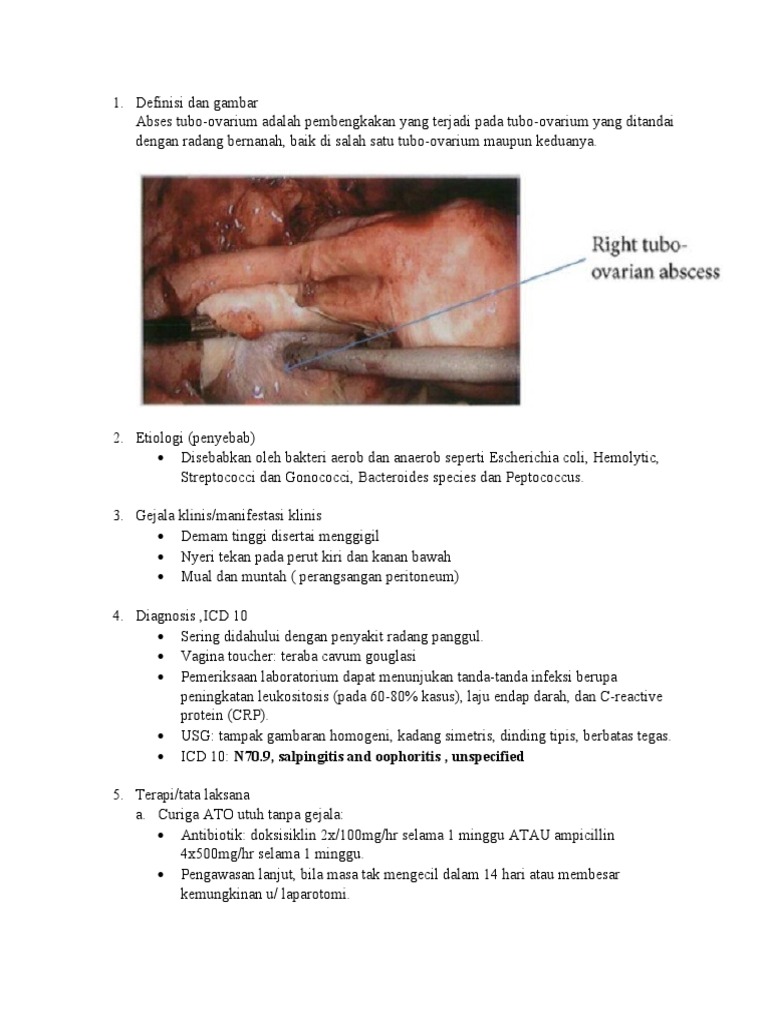 Abses Tubo-Ovarium | PDF