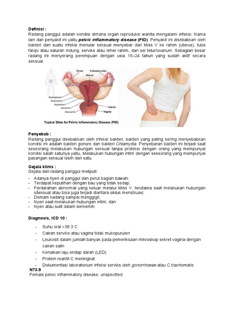 Penyakit Radang Panggul | PDF