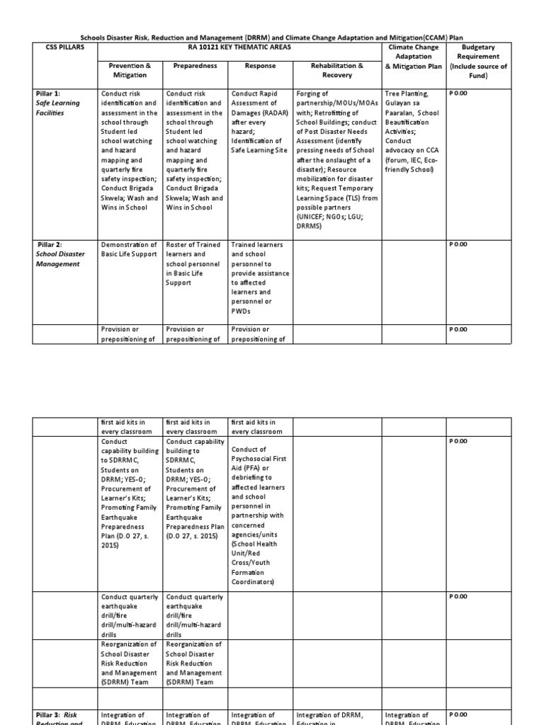 SDRRM Plan (Sample) - 1 | PDF | Emergency Management | Disaster Risk Reduction