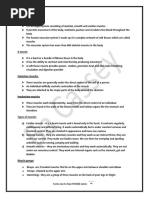 NASM OPT Program Template Guide | PDF | Strength Training ...