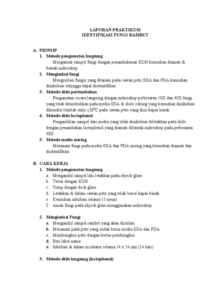 Laprak MIKO Kel 10 | PDF